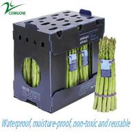 China Customized Polypropylene Corrugated Fruit and Asparagus Box 500x270x270mm 13.6kg Capacity for sale
