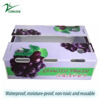 China Customized Polypropylene Corrugated Fruit and Asparagus Box 500x270x270mm 13.6kg Capacity for sale