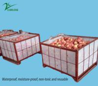 China Customized Polypropylene Corrugated Fruit and Asparagus Box 500x270x270mm 13.6kg Capacity for sale