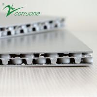 China Corruone PP Double Wall Polypropylene Plastic Sheet Honeycomb Core Board 2-12mm for sale