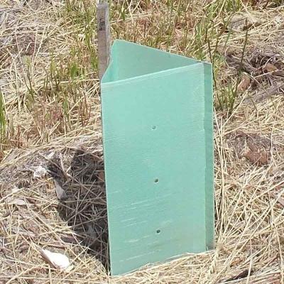 Cina Corruone wholesale high quality PP Plastic corrugated Tree Guard Plastic Tree Protector in vendita
