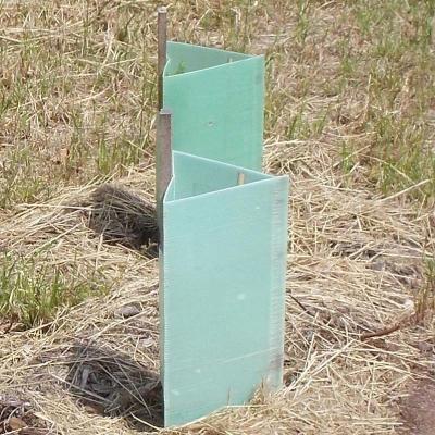 Cina Corruone wholesale high quality PP Plastic corrugated Tree Guard Plastic Tree Protector in vendita