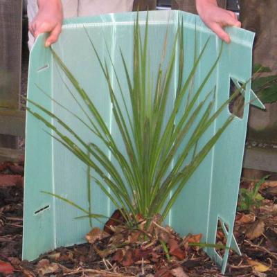 Cina Corruone wholesale high quality PP Plastic corrugated Tree Guard Plastic Tree Protector in vendita