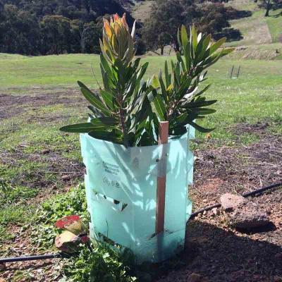 Cina Corruone wholesale high quality PP Plastic corrugated Tree Guard Plastic Tree Protector in vendita