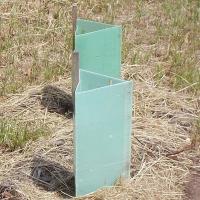 China Corruone PP Plastic Corrugated Tree Guard 2-12mm Thickness UV Resistant Tree Protector for sale