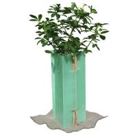 China Virgin PP Corrugated Tree Protectors 2mm to 12mm Thickness Customizable for sale