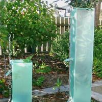 China Corruone PP Corrugated Plastic Sheet 4mm Tree Guard Custom Size Eco-Friendly for sale