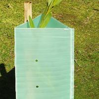 China Corruone PP Corrugated Plastic Sheet 4mm Tree Guard Roll Custom Size Eco-Friendly for sale