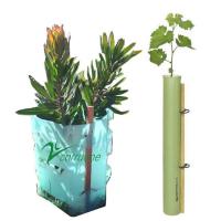 China Corruone PP Corrugated Plastic Sheet 4mm Tree Guard Roll Custom Size Eco-Friendly for sale