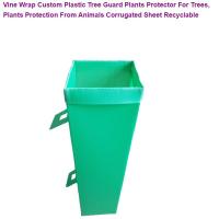 China Corruone PP Corrugated Plastic Sheet 4mm Tree Guard Roll Custom Size Eco-Friendly for sale