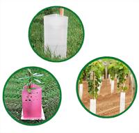 China Corruone PP Corrugated Plastic Sheet 4mm Tree Guard Custom Size Eco-Friendly for sale
