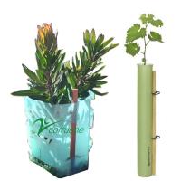 China Coroplast Plastic Tree Trunk Covers 2mm Corrugated Tree Guard Protection UV Resistant for sale