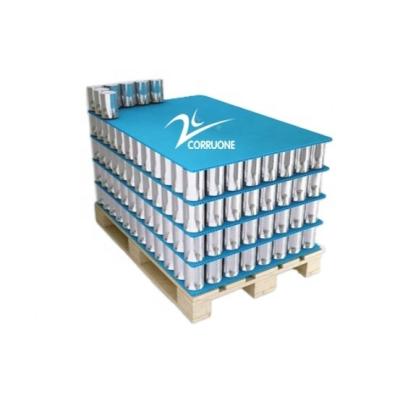 Cina Coroplast Twin Wall Plastic Board Weather Resistant Flame Retardant in vendita