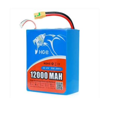 China Cold Resistant 12S 44.4V 12000mAh LCO Drone Battery Pack 20C 532.8Wh For Survey UAV for sale