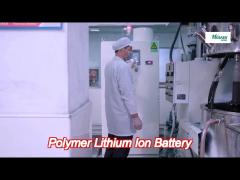 104050 2500mah rechargeable lithium polymer battery 3.7v for smart wearables