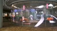 China P3.91-7.8 1000x1000mm Transparent LED Display Panel 70% Transparency 5000cd/m² for sale