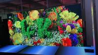China Practical P2 Indoor LED Display Screen Multifunctional Stable for sale