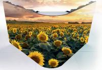 China Flexible LED Display Screen P2.5 320x160mm High Refresh 3840Hz Creative Shaped Module for sale