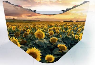 Cina Pubblicità Monitor LED flessibile, Multiscene Ultra Thin Flexible LED Screen in vendita