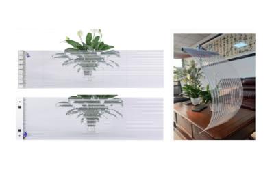 Cina AC100-240V Film trasparente a LED Multiuso Stabile in vendita