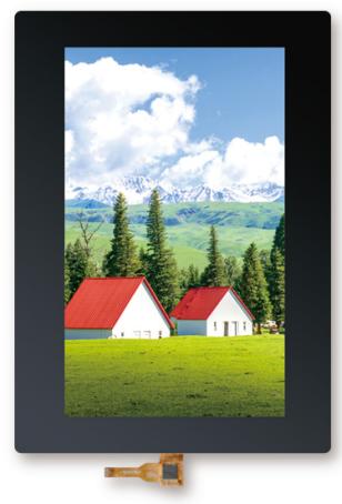 Quality 10.1 Inch LCD Display 800×1280 Resolution 300cd/m2 Luminance for Medical Devices for sale