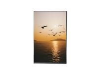 Quality Customized 10.1 Inch HD Industrial LCD Display IPS LCD Screen 800x1280 Pixels for sale