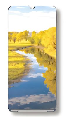 China 6.56 Inch IPS TFT Mobile Phone LCD Display 720x1612 300cd/M2 Luminance MIPI Interface for sale