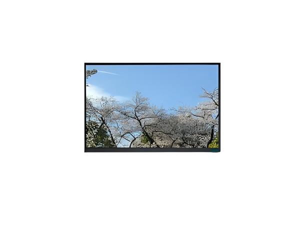 Quality 9.0 Inch IPS TFT LCD Module 1280x720 LVDS Display For Automotive Dashboard for sale