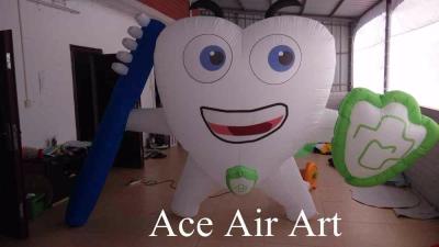 China giant inflatable tooth with toothbrush for advertising for sale