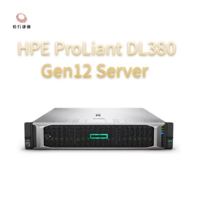 China HPE ProLiant Compute DL380 Gen12 Rack Storage Server，custom storage server，2 way server for sale