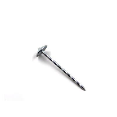 China 2'' Smooth/Screw Nails Galvanized Roofing Nails for sale
