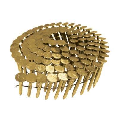 China Galvanized Twisted Shank Roofing Coil Nails 3/4" 15 Degree For Pallets for sale