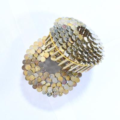 China Hot Dip Galvanized Roofing Nails Round Head Ring Shank ISO Certification for sale