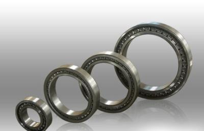 China SL182204 cylindrical roller bearing,no cage, GCr15 steel material for sale