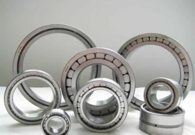 China SL183005 cylindrical roller bearing,25x47x16 mm no cage for sale