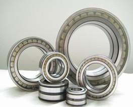 China SL192307, SL192307 Bearing, SL192307 cylindrical roller bearing for sale