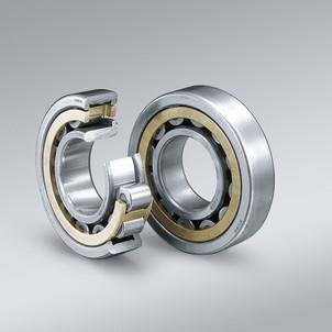 China NU 409 SKF cylindrical roller bearing,carbon steel material, 45X120X29MM for sale