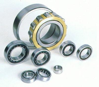 China N 210 ECP cylindrical roller bearing,carbon steel material, 50x90x20 MM for sale