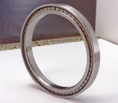 China full complement cylindrical roller bearing SL183016,semi-locating bearing, 80x125x34 mm for sale