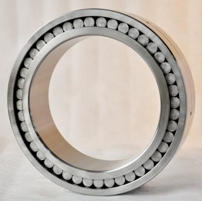 China full complete cylindrical roller bearing SL182219 ,semi-locating bearing,95x170x43mm for sale