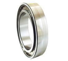 China full complement cylindrical roller bearing SL182924, semi-locating bearing,120x165x27mm for sale