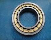 China N 224ECP cylindrical roller bearing ,120x215x40 mm,  GCr15SiMn material for sale