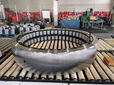 Cina Cylindrical Roller Bearing SL 0549/1000 For Ball Mill Machine Fixed End in vendita