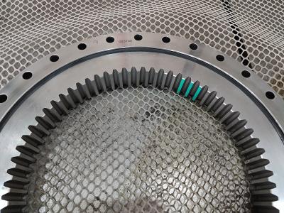 Cina 496DBS103T Slewing Ball Bearing Gear Teeth Data in vendita