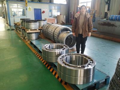 China Main Spindle Use NNU40/500MAW33 500x720x218mm For Paper Mill Machine for sale