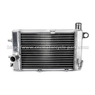 China APRILIA TUONO 1000 Aftermarket Motorcycle Radiator Easy Installation for sale