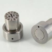 China Stepped Die Casting Mold Date Stamps Electroforming Processing Customization for sale