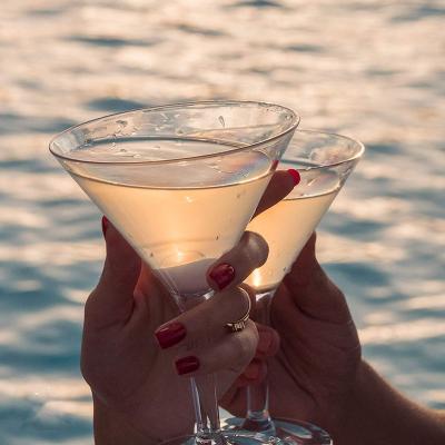 China bar supplies Elegant Goblets Wholesale wine stem unbreable martini champagne cocktail whisky glasses glass cup for sale