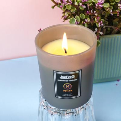 China Luxury Scent Plant Vanilla Fragrances Private Label Weeding Scented Candle In Bulk With Lid for sale
