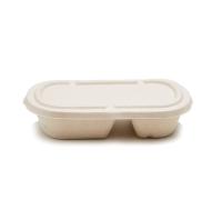 China Two Compartment Biodegradable Container 25OZ Sugarcane Bagasse Clamshell Take Out Box for sale